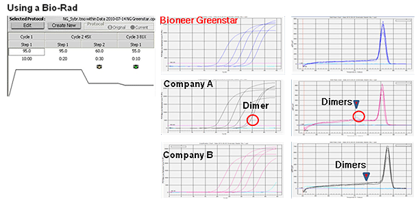 2X GreenStar master mix solution from Bioneer