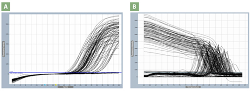 Predesigned and validated Real Time PCR primers for measuring siRNA ...